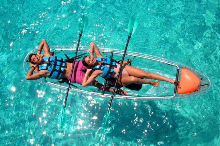 Cancun: Dolphin Encounter on Isla Mujeres and Garrafon Park - Practical Aspects: Timing, Cost, and Group Size