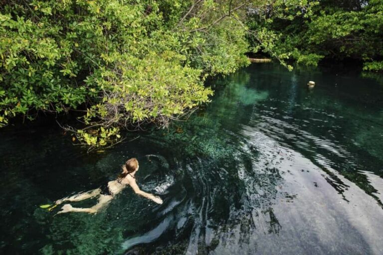 Cancun: Quad biking, zip lines, and swimming in a jungle cenote - The Training Wheels: What’s Included and What’s Not
