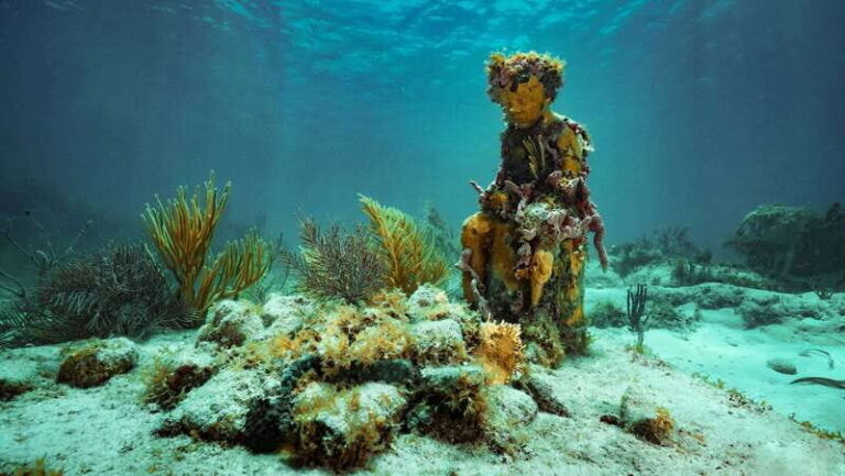 Cancun: Snorkeling Tour at MUSA The Underwater Museum - What Travelers Are Saying