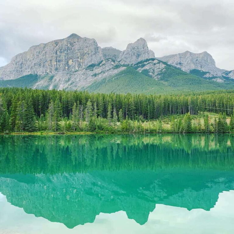Canmore: PRIVATE SAFARI Drive to BANFF Park & Nature Walk - The Scenic Drive: Highlights and Wildlife Sightings