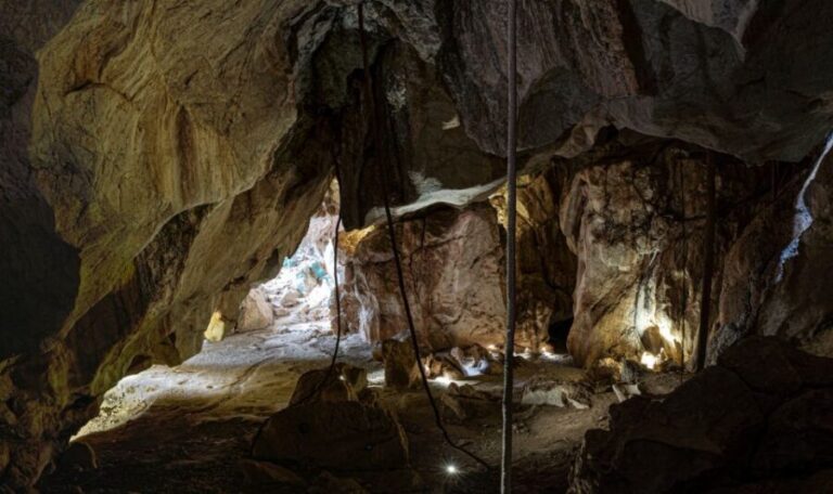 Capricorn Caves, Australia: 45-Minute Cathedral Cave Tour - The Value of the Experience