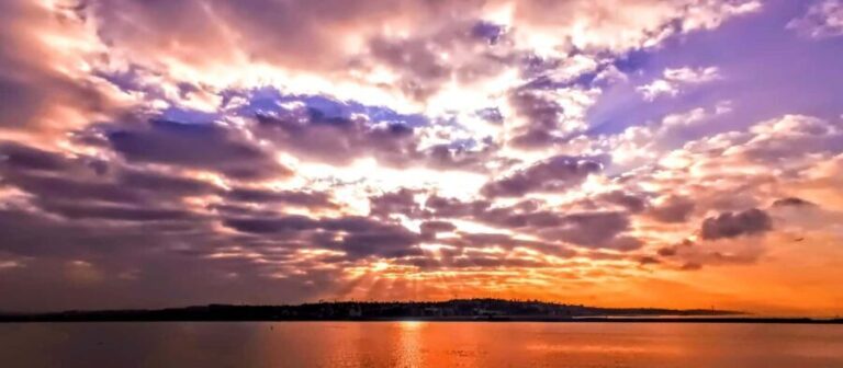 Capture LA's Coastal Magic-Wildlife, Marina Photography Tour - Exploring Venice Beach & Marina del Rey