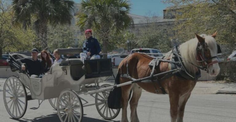 Charleston, SC: Private Evening Horse & Carriage Tour - Who Will Love This Tour?