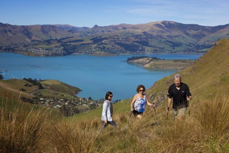 Christchurch: Guided Crater Rim Walk with Picnic - What Makes This Tour Special?