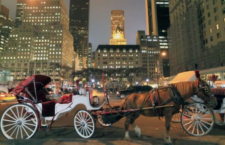 Christmas in New York: Holiday Lights Horse Carriage Ride - An In-Depth Look at the Holiday Lights Carriage Ride