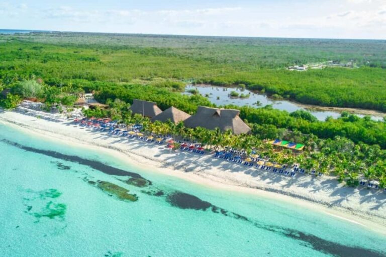 Coastal Thrill Day: Kayak, Paddle & Snorkel at Cozumel - What Past Travelers Say