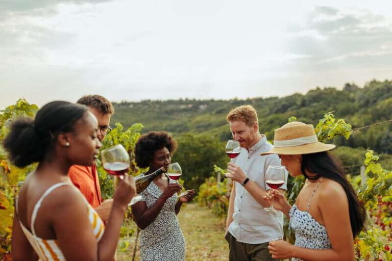 Collingwood: Blue Mountains Wine and Cider Tasting Tour - What Makes This Tour Special for Travelers