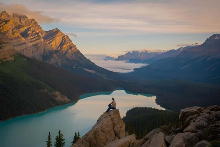 Columbia Icefield Adventure, Bow Lake & Peyto Lake Tour - Why This Tour Offers Great Value