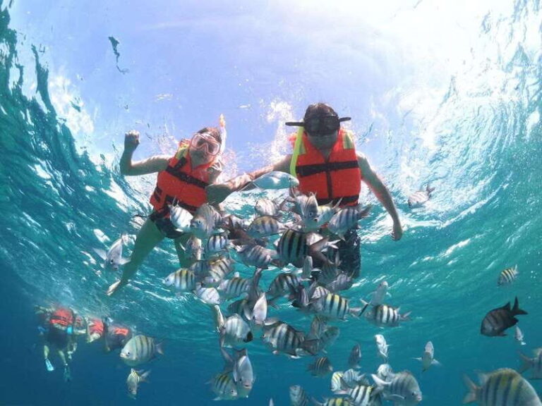 Cozumel: Clear Boat & Snorkel Tour - What To Expect from the Tour