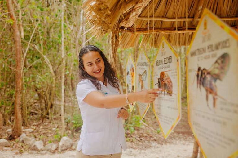 Cozumel: General Entrance to Mayan Bee Sanctuary - Who Should Consider This Tour?