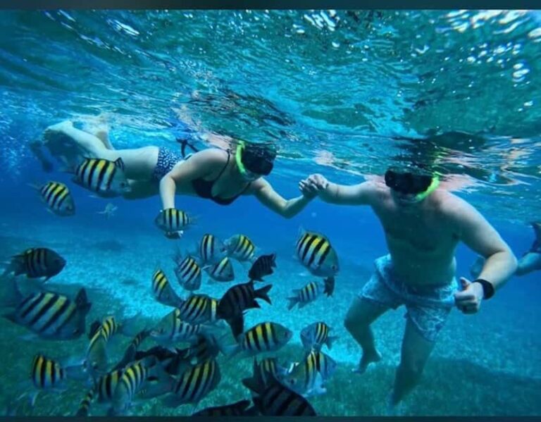 Cozumel: snorkeling on reefs + visit to "El Cielo" - Assessing the Value