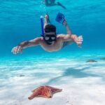 Cozumel Starfish and Tropical Reef Snorkeling by Powerboat with Lunch - The value of this experience