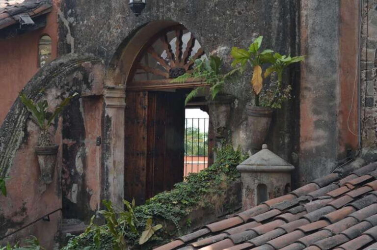 Cuernavaca: Museo Robert Brady Guided Tour - Practical Tips for the Visit