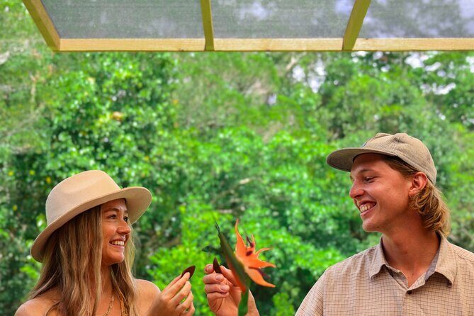 Daintree Sensations - What Does the Experience Include?