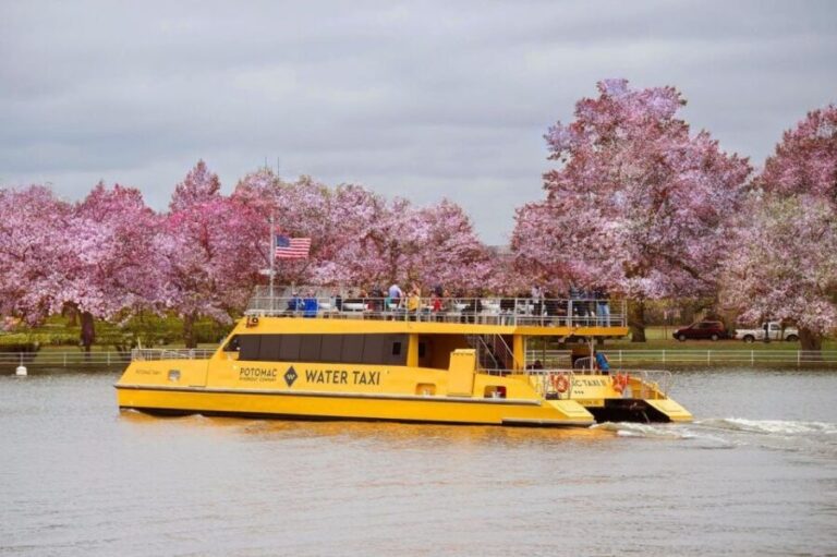DC: Hop-on Hop-off, Arlington Walking Tour, and Night Tour - What’s Included and What’s Not