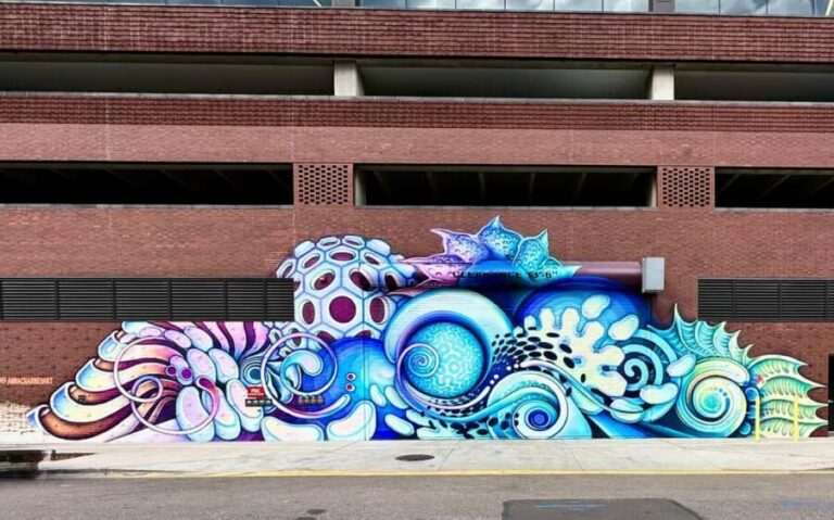 Denver: North RiNo Art District Graffiti and Street Art Tour - What To Keep in Mind
