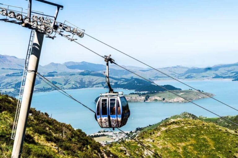 Discover Christchurch Tour with Lunch - Punting on the Avon River: A Classic Christchurch Experience