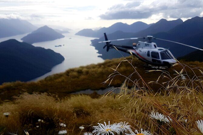 Dusky Sound // Helicopter Scenic Flight - In The Sum Up: Is This Tour Worth It?