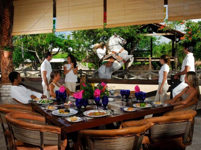 Entrance to Xcaret Park with access to the night show included. - Value and Practical Considerations