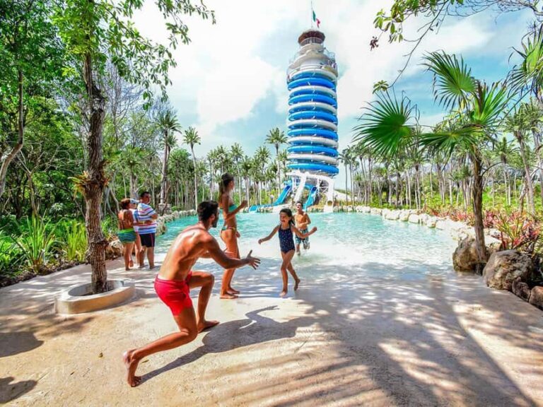 Entrance to Xel-Há Park with Food and Open Bar Included - The Food and Drinks: More Than Just Fuel