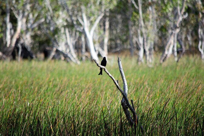 ETHICAL ADVENTURES - 1 Day premium Litchfield tour, Max 10 guests - Final Thoughts