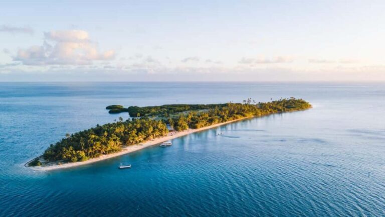 Fiji: Half-Day Island Activities Tour with Jungle Cruise - Highlights of the Tour