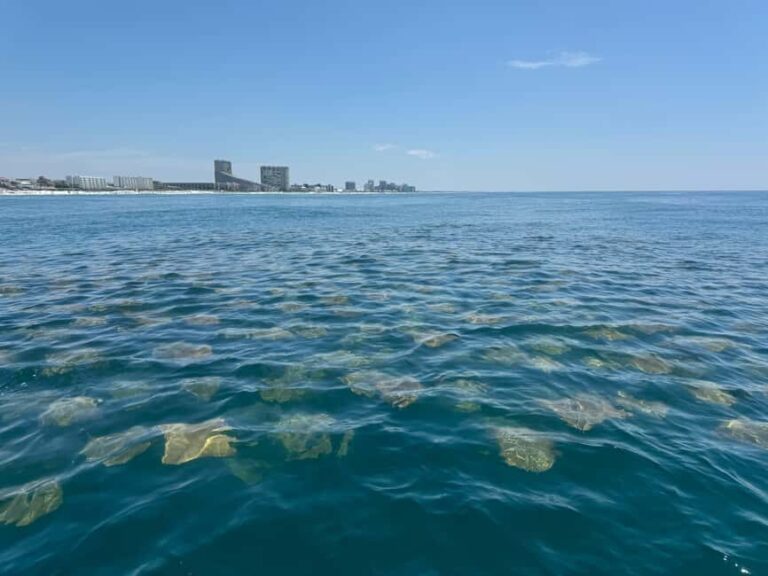 Fort Lauderdale: Parasailing on Fort Lauderdale Beach - Practical Details