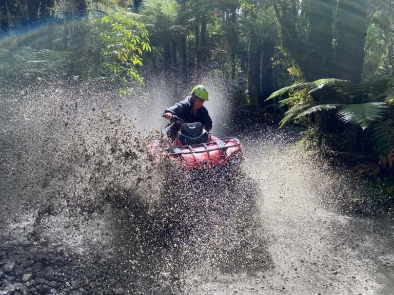 Franz Josef Town: Scenic Glacier Quad Bike Tour with Gear - Guides and Safety