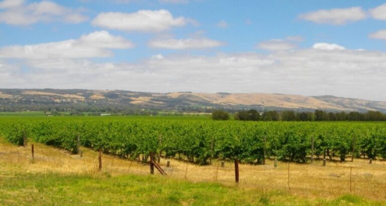 From Adelaide: McLaren Vale Winery Tour with Hahndorf Stop - What’s Not Included and Considerations