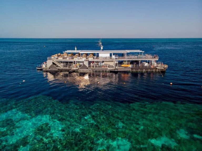 From Airlie Beach: Great Barrier Reef Pontoon Experience - What Travelers Say