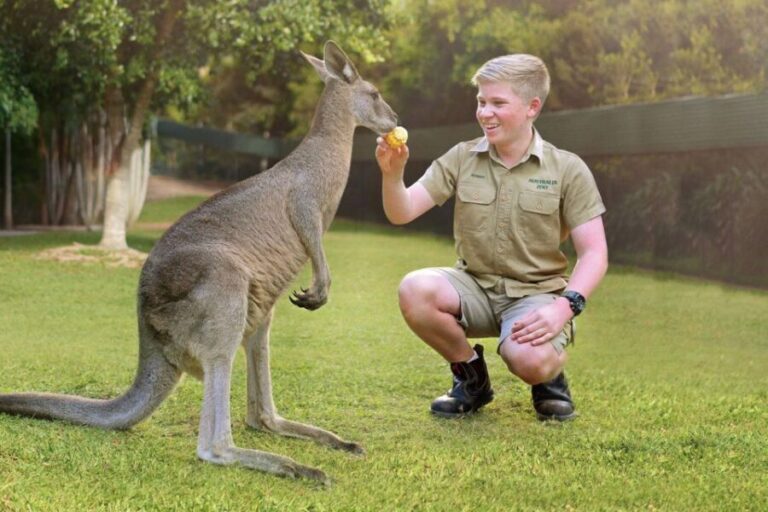 From Brisbane: Australia Zoo Ticket and Roundtrip Transfer - The Scenic Coach Ride: A Highlight in Its Own Right
