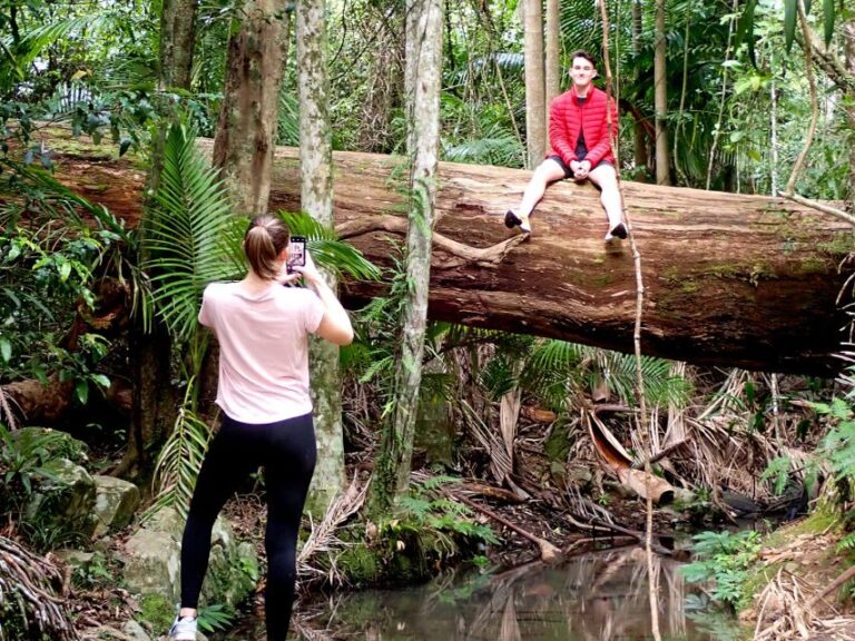 From Brisbane: Maiala Rainforest Private Tour - Exploring Queensland’s Subtropical Forests