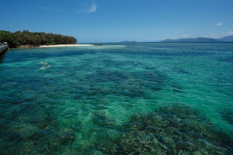 From Cairns: Half-Day Afternoon Cruise to Green Island - The Itinerary Breakdown