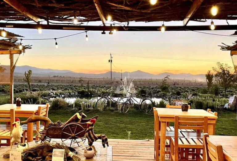 From Ensenada: Ojos Negros Valley Cheese & Wine Tasting Tour - The Breakdown: How the Itinerary Unfolds