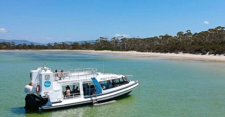 From Hobart: Day Tour to Maria Island with Bus Connection - An In-Depth Look at the Tour