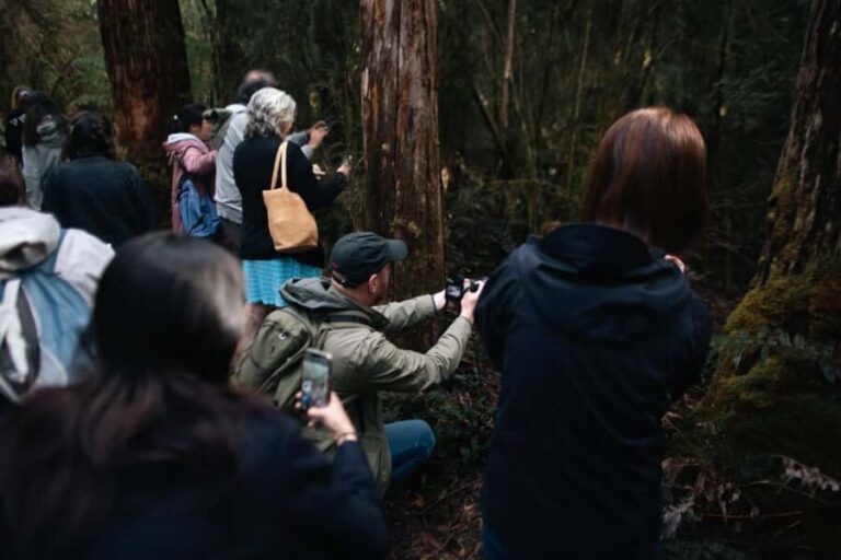 From Hobart: Full-Day Bruny Island Tour with Guide - Who Should Take This Tour?