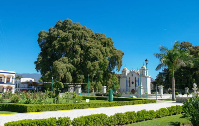 From Huatulco: 2 Days Excursion to Oaxaca City - Exploring Oaxaca in 2 Days: What to Expect