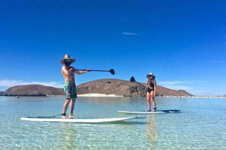From La Paz: Espiritu Santo Island Adventure - What Makes This Tour Stand Out?