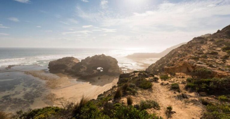 From Melbourne: Mornington Peninsula: Sightseeing Tour - A Deep Dive into the Tour Experience