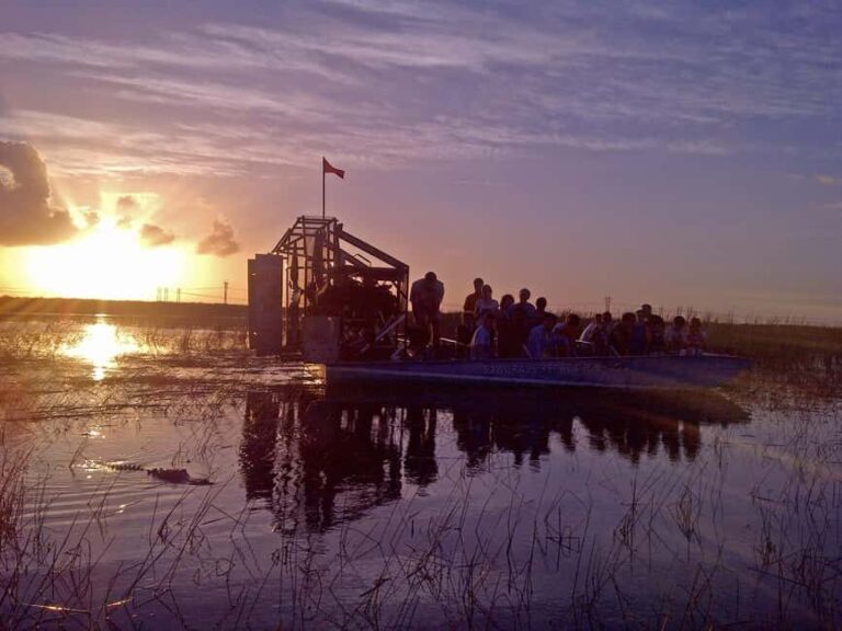 From Miami: Everglades at Night with Guided Airboat Tour - Who Should Consider This Tour?