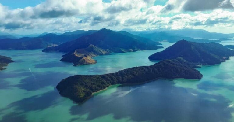From Nelson: Marlborough Sounds Scenic Helicopter Flight - What Makes This Tour Special?