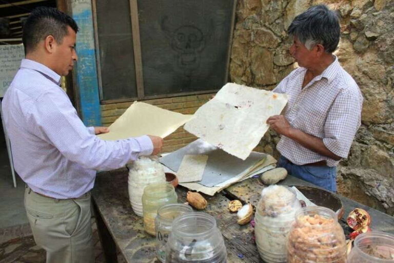 From Oaxaca: San Agustín Etla Quesillo and Papermaking Tour - The Value of the Experience
