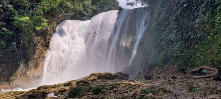 From Palenque: Roberto Barrios and El Salto Waterfalls Tour - Who Should Consider This Tour?