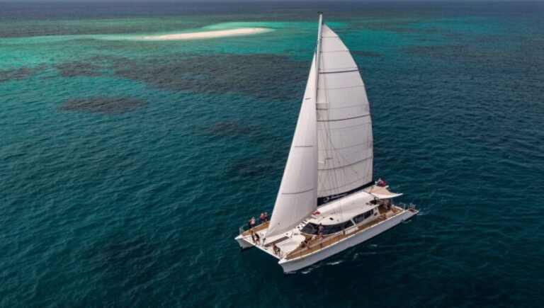 From Port Douglas: Outer Reef Cruise by Luxury Catamaran - Practical Considerations and Value