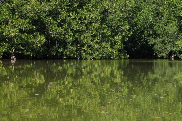 From Puerto Escondido: Day Trip to Chacahua National Park - What’s Included and What’s Not