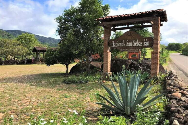 From Puerto Vallarta: Full-Day Tour to San Sebastian - Exploring the Historic Streets
