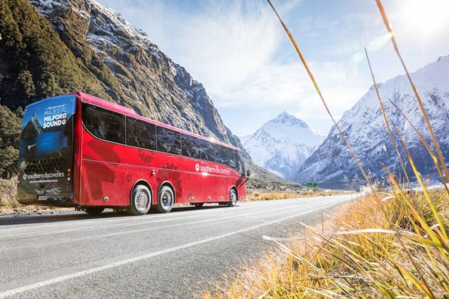 From Queenstown: Milford Sound Day Trip on Premium Coach - A Deep Dive into the Milford Sound Experience