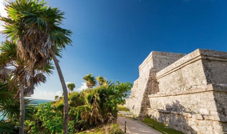 From Riviera Maya: Tulum, Cenote, & Akumal Turtle Swim Trip - The Benefits of This Tour