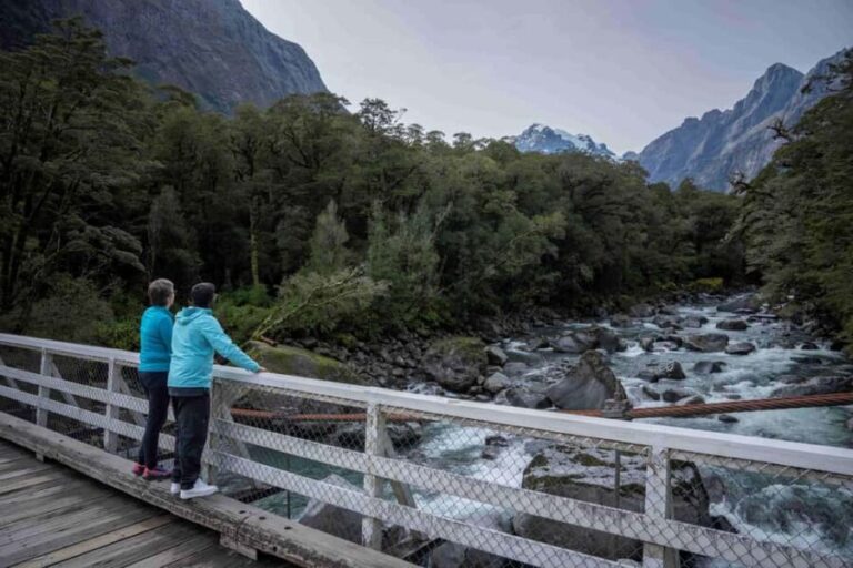 From Te Anau: Milford Sound Coach, Cruise, and Walks - The Walks and Scenic Spots in Fiordland