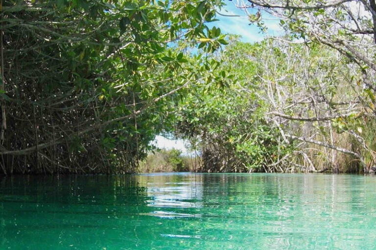 From Tulum: Sian KaAn Muyil Lagoon Tour - Deep Dive into the Itinerary and Experience